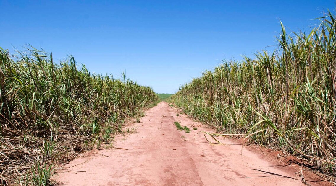 Guarani tribe vs US food giant | FairPlanet