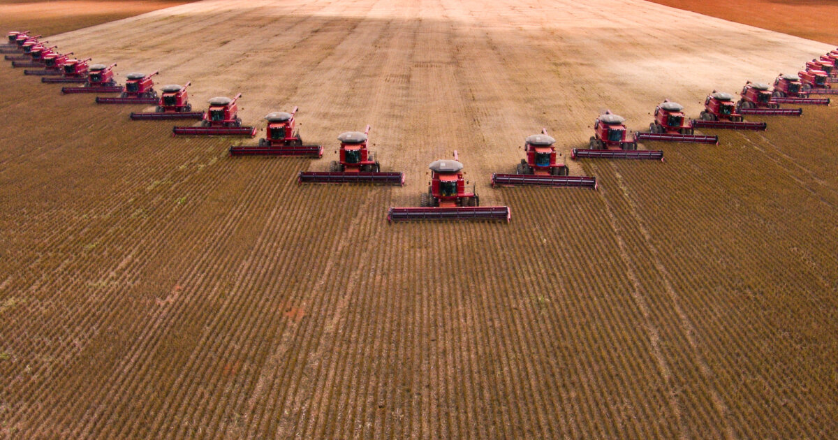 COP30 host Brazil on path to slash food waste | FairPlanet