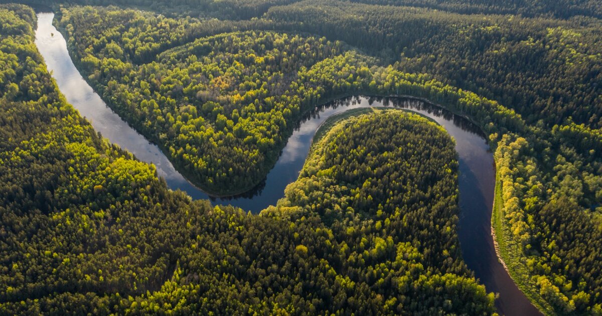 In the heart of Brazil's Amazon: a clean water revolution | FairPlanet