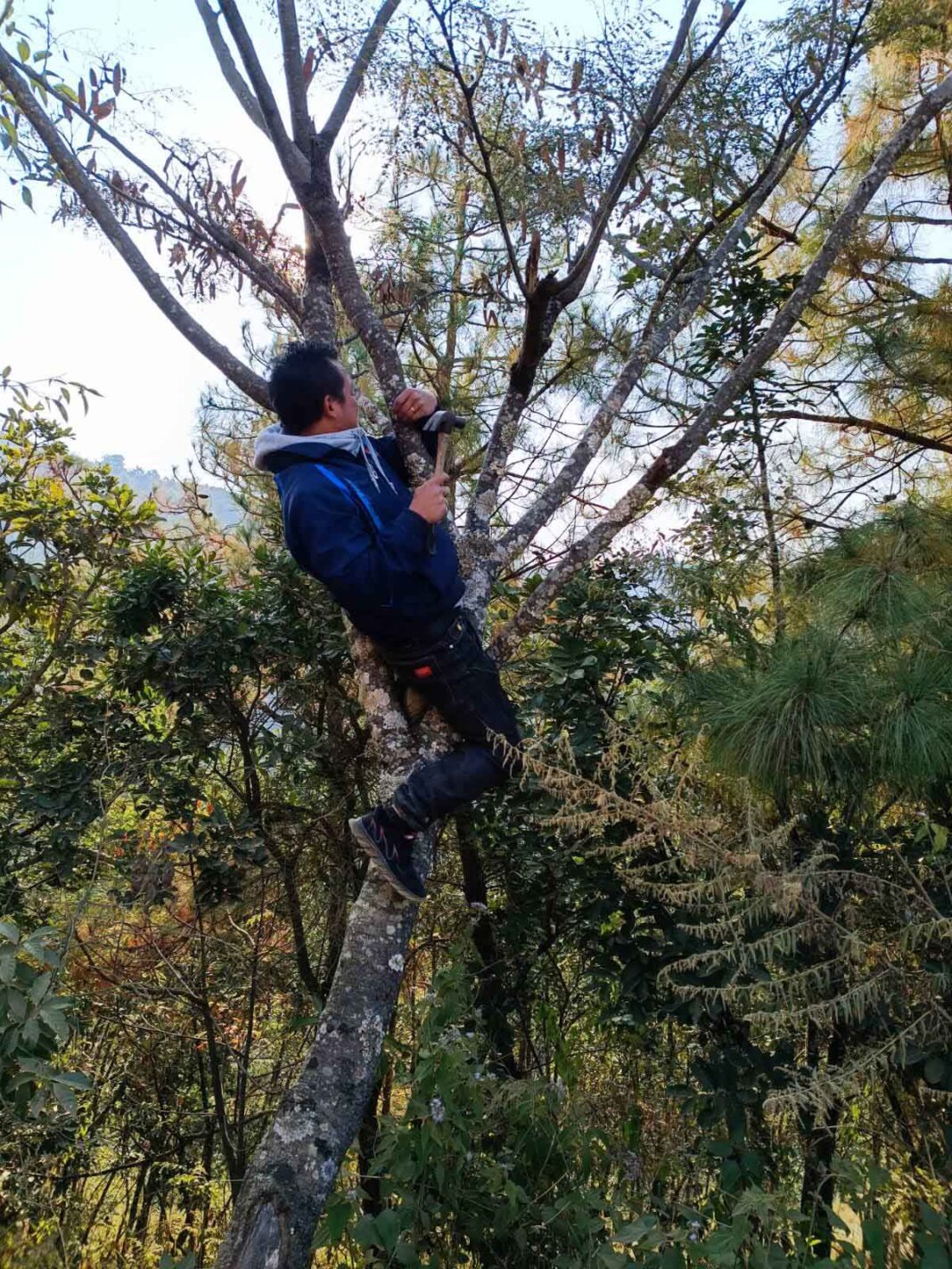 Meet the bird saviour of Myanmar | FairPlanet