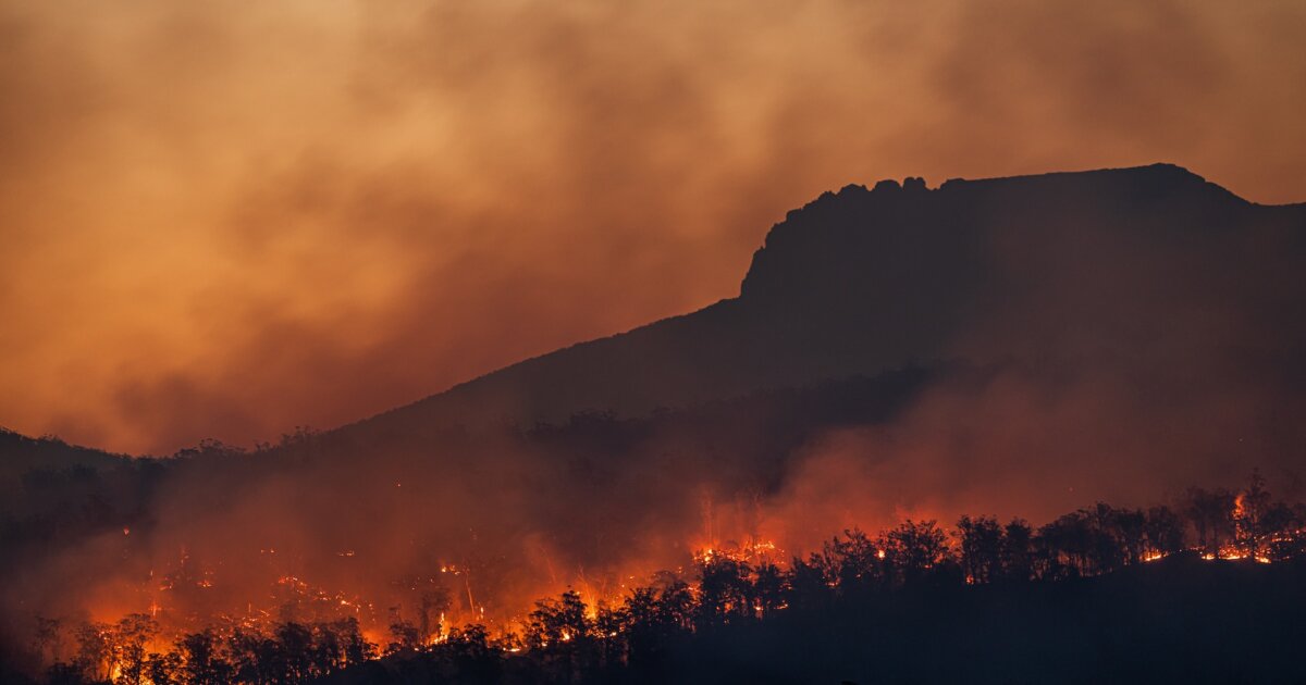 Using community awareness to prevent forest fires in Nepal | FairPlanet