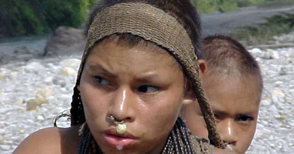 Peru approves gas project, spells disaster for uncontacted tribes ...