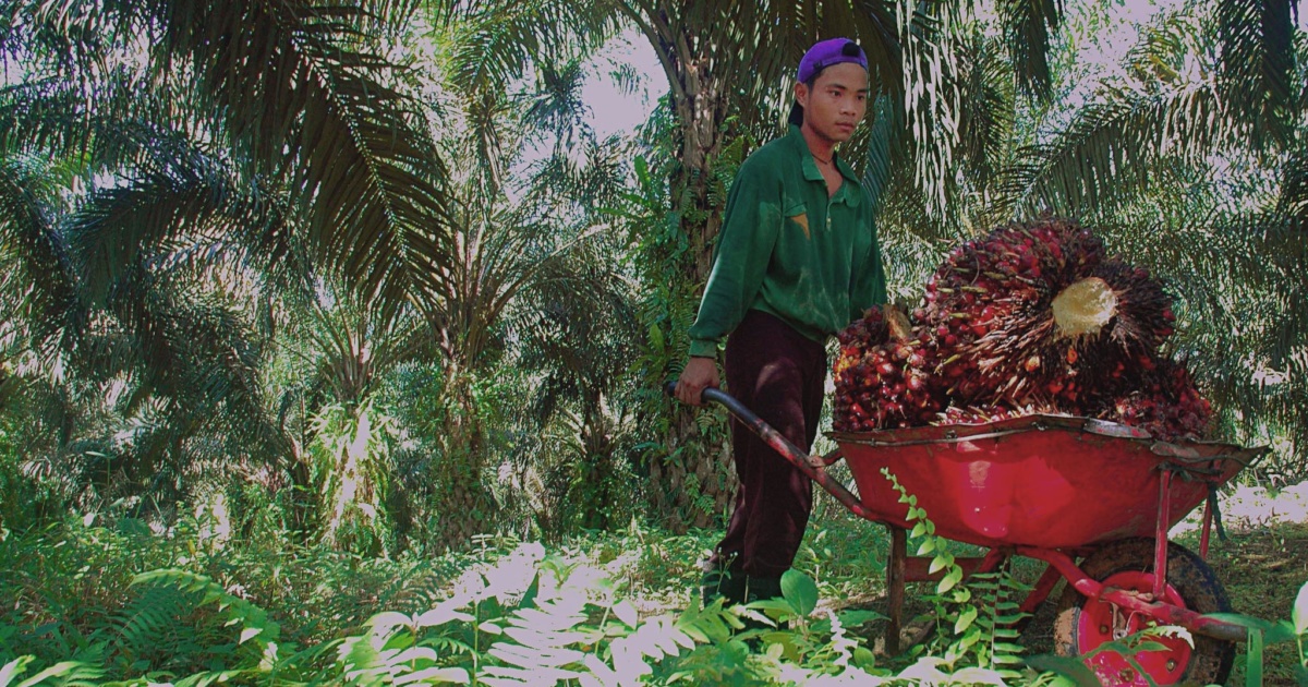 World leaders vow to end child labour | FairPlanet