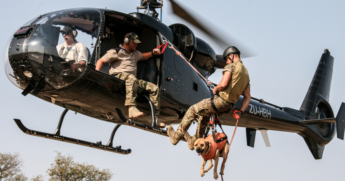 Protecting the living Rhino: The Anti-Poaching Rangers | FairPlanet