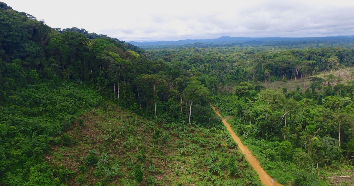 Data to defend land rights in Cameroon | FairPlanet