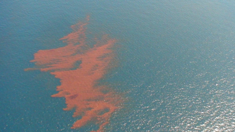 The hidden cost of Shell oil spill in Niger Delta | FairPlanet