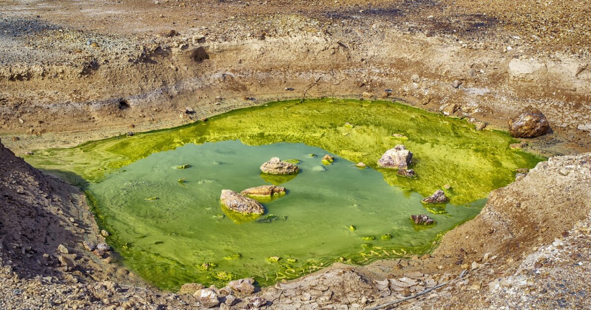 Be alive for the growing lead poisoning catastrophe | FairPlanet