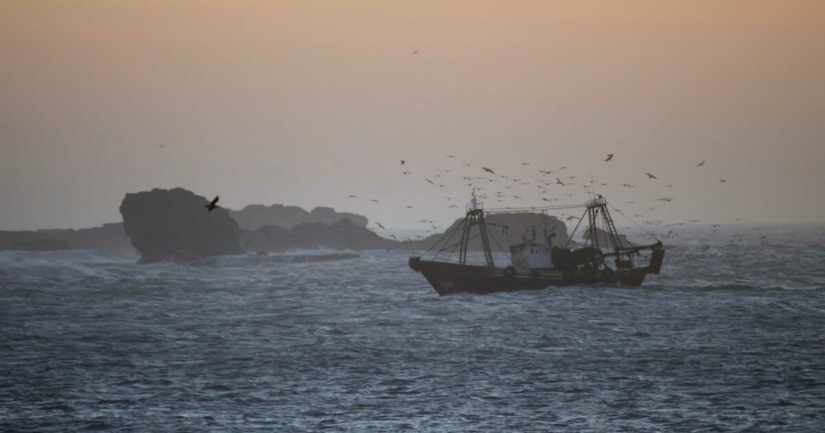 ‘Fish-rot’ scandal stink reaches far beyond Namibia’s shores | FairPlanet