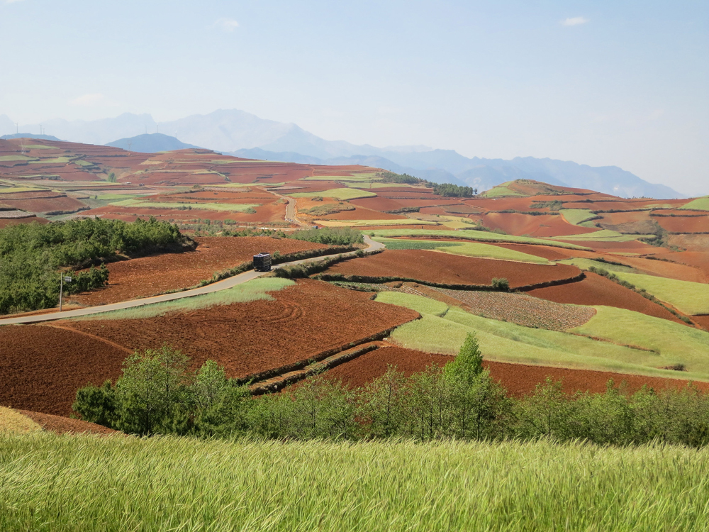 Is China’s reforestation plan realistic? | FairPlanet