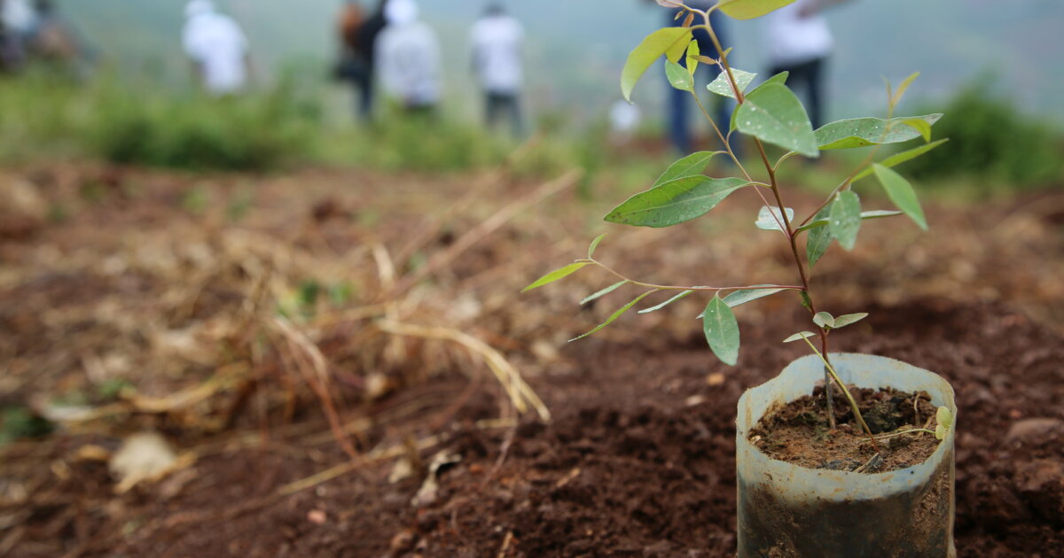 Green City Kigali: inside Africa’s first sustainable city | FairPlanet