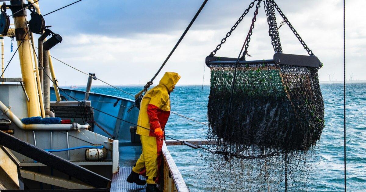 Fishery: Latin America | FairPlanet