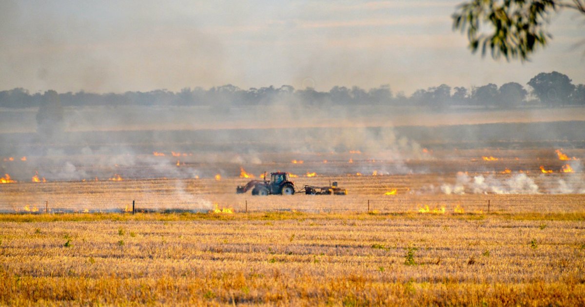 Ukrainian farmlands have become dangerous minefields | FairPlanet