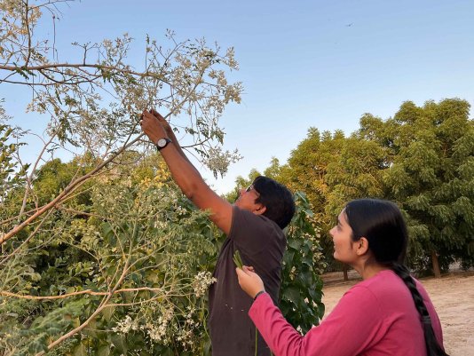 Meet the Tree Man of India’s Thar desert | FairPlanet