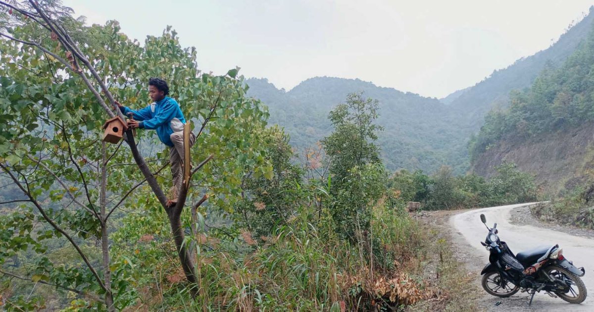 Meet the bird saviour of Myanmar | FairPlanet