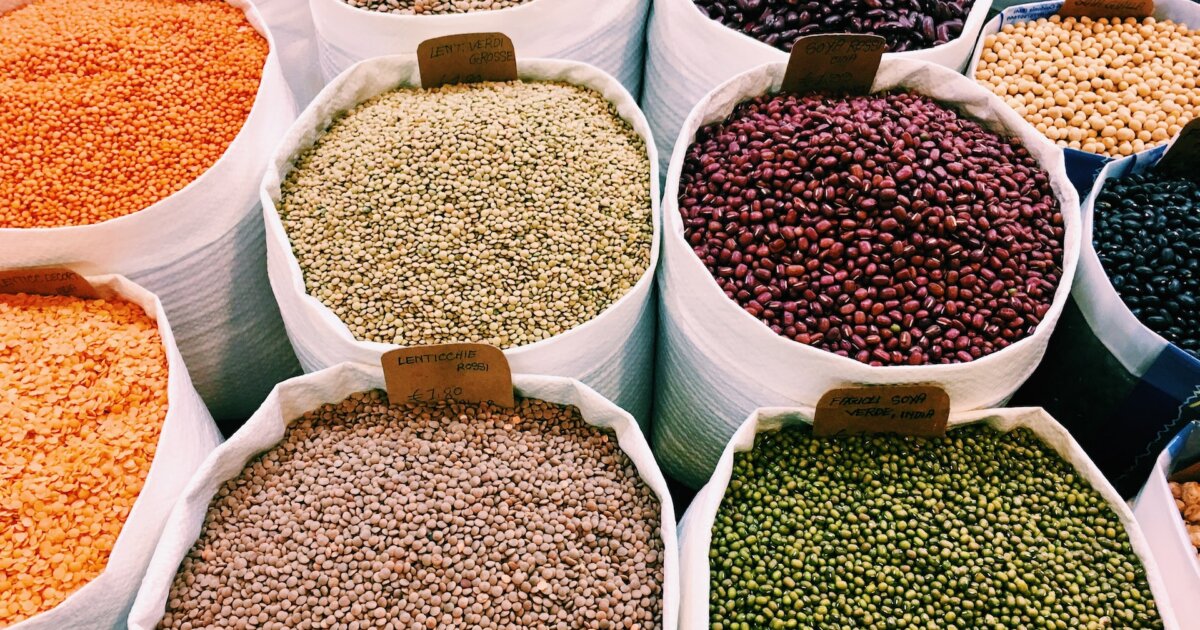 10 environmentally friendly protein sources | FairPlanet