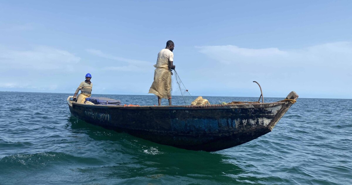 EU ban spurs crackdown on illegal fishing in Cameroon | FairPlanet