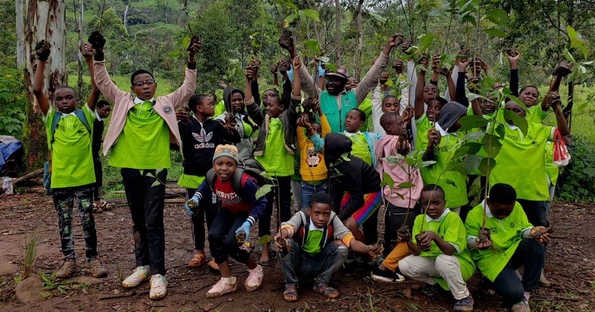 Grassroot reforestation campaigns gain steam across Cameroon | FairPlanet