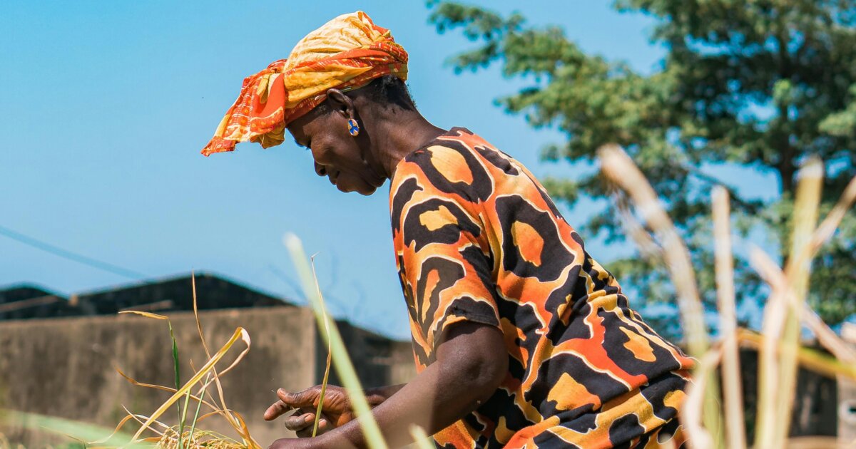 Community-based ecotourism for African rural development | FairPlanet