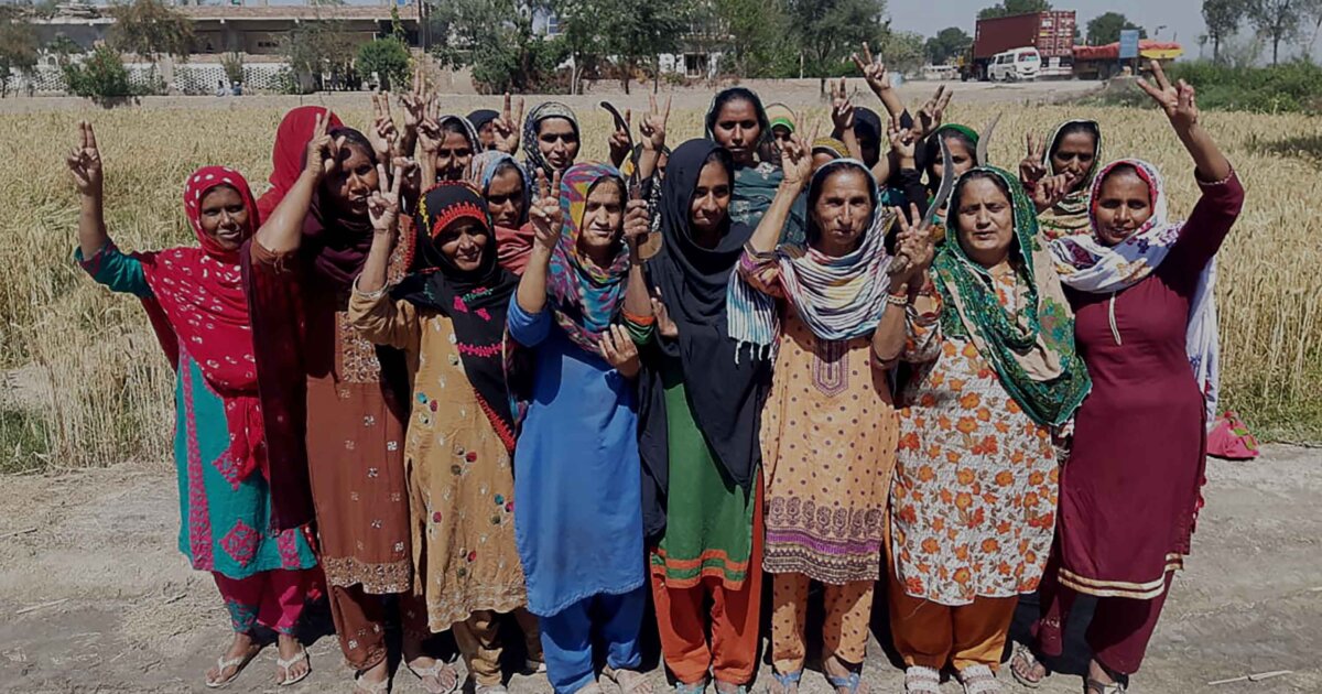The Pakistani women spearheading agricultural reform | FairPlanet