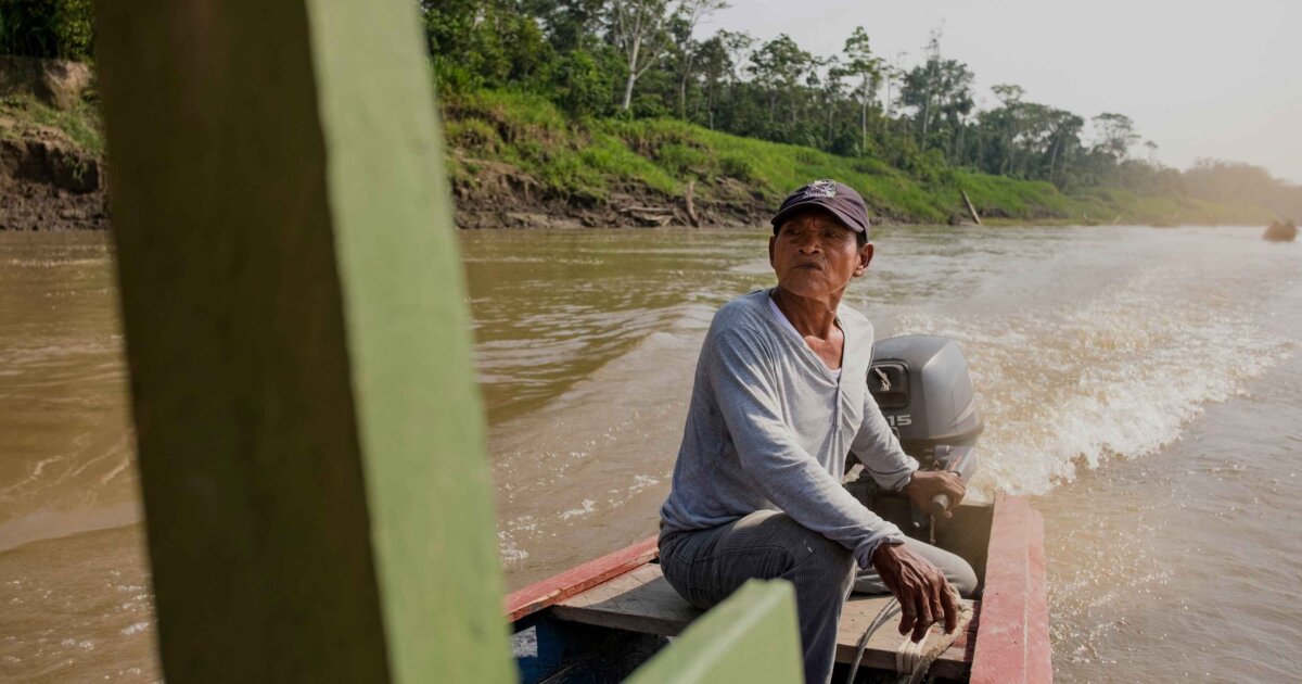 Guardians of Guaviare: Southern Colombia’s land fight | FairPlanet